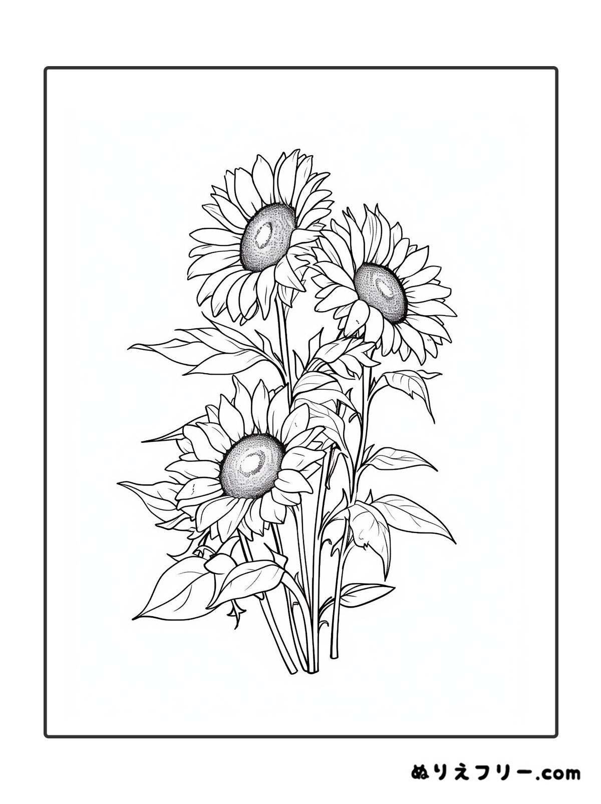 ひまわりの塗り絵 - ぬりえフリー.com